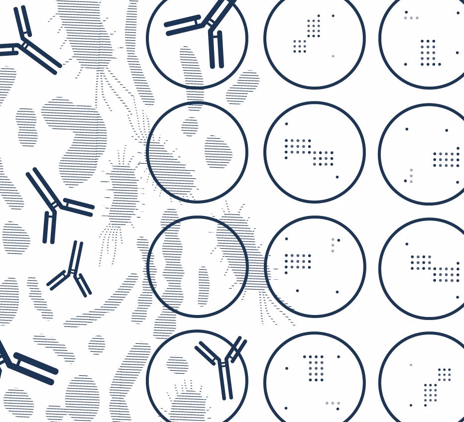 BioVendor Group – Bridging Science & Diagnostics | BioVendor Group