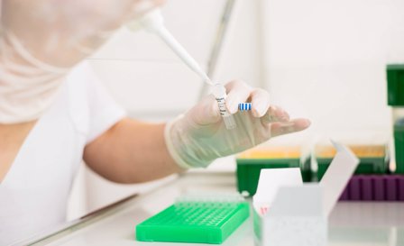 Our brands – The innovative companies of the BioVendor Group ...