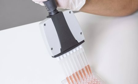 Our brands – The innovative companies of the BioVendor Group ...