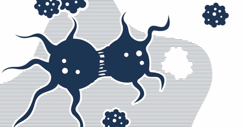 ViennaLab Diagnostics partnered with Euformatics and Oncompass Medicine ...